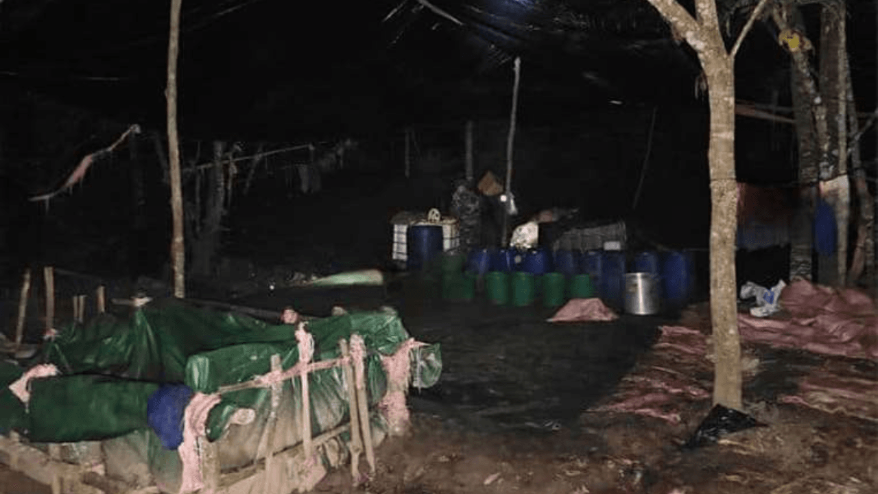 Elon Musk presentó a Katanela: El primer robot diseñado con ...