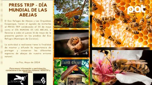 ¡Celebremos juntos el Día Mundial de las Abejas en el Eco-Refugio de ...